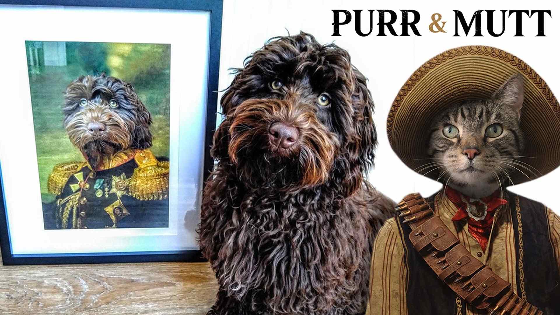 Purr and Mutt | TOTUM Student Discount | 25% off a £29.99 print plus ...