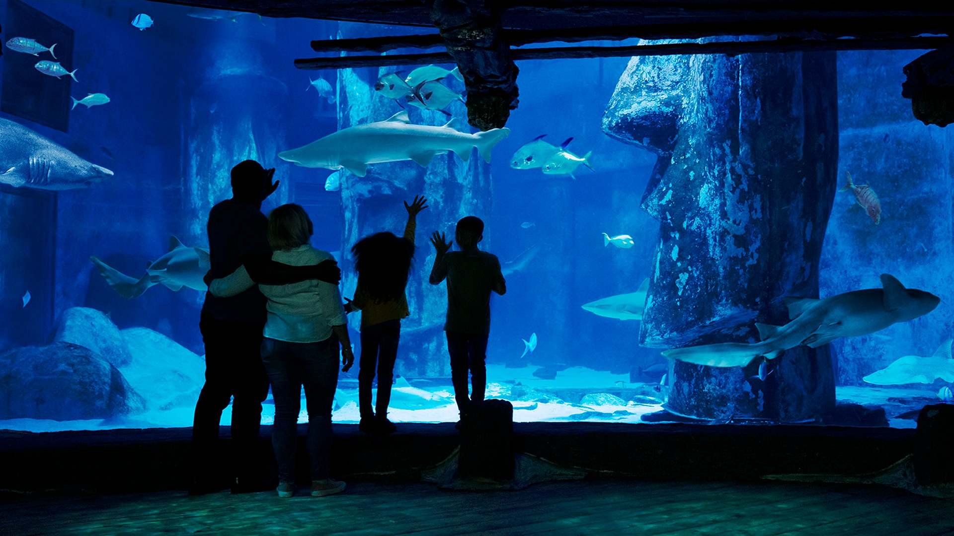 SEA LIFE | TOTUM Student Discount | TICKETS FROM £10.50 - LOCH LOMOND