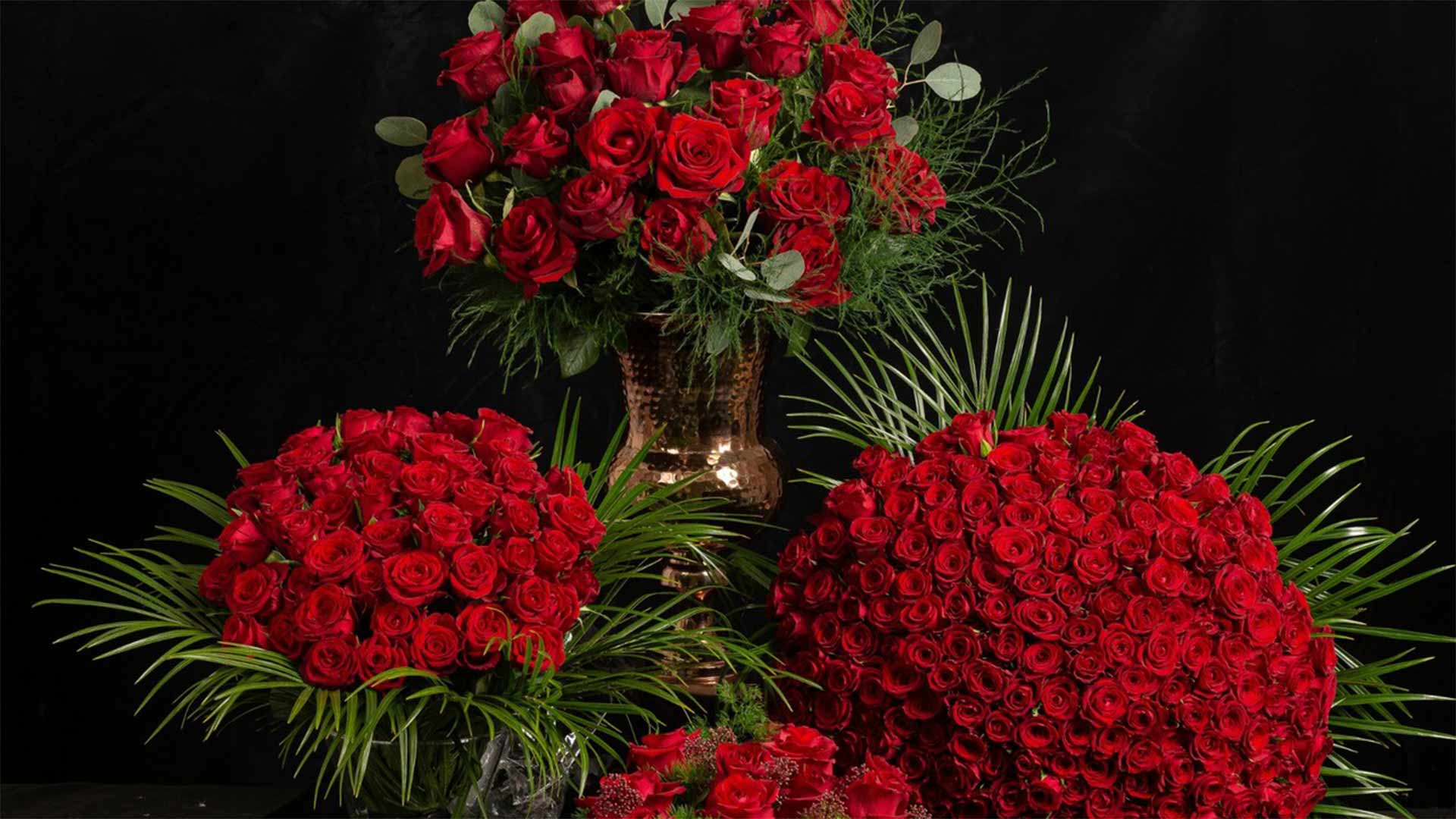 Appleyard | TOTUM Student Discount | 33% off Valentine's Day collection ...